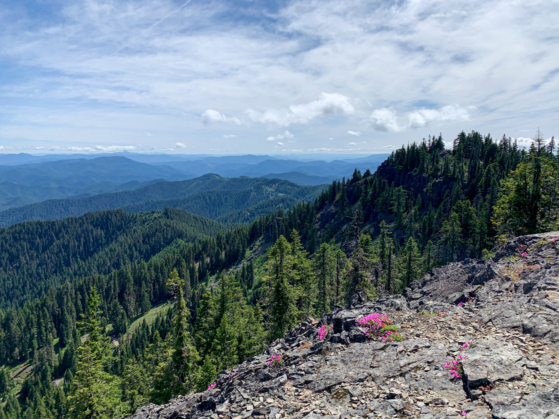 Mike Shaw Photography | Page 2