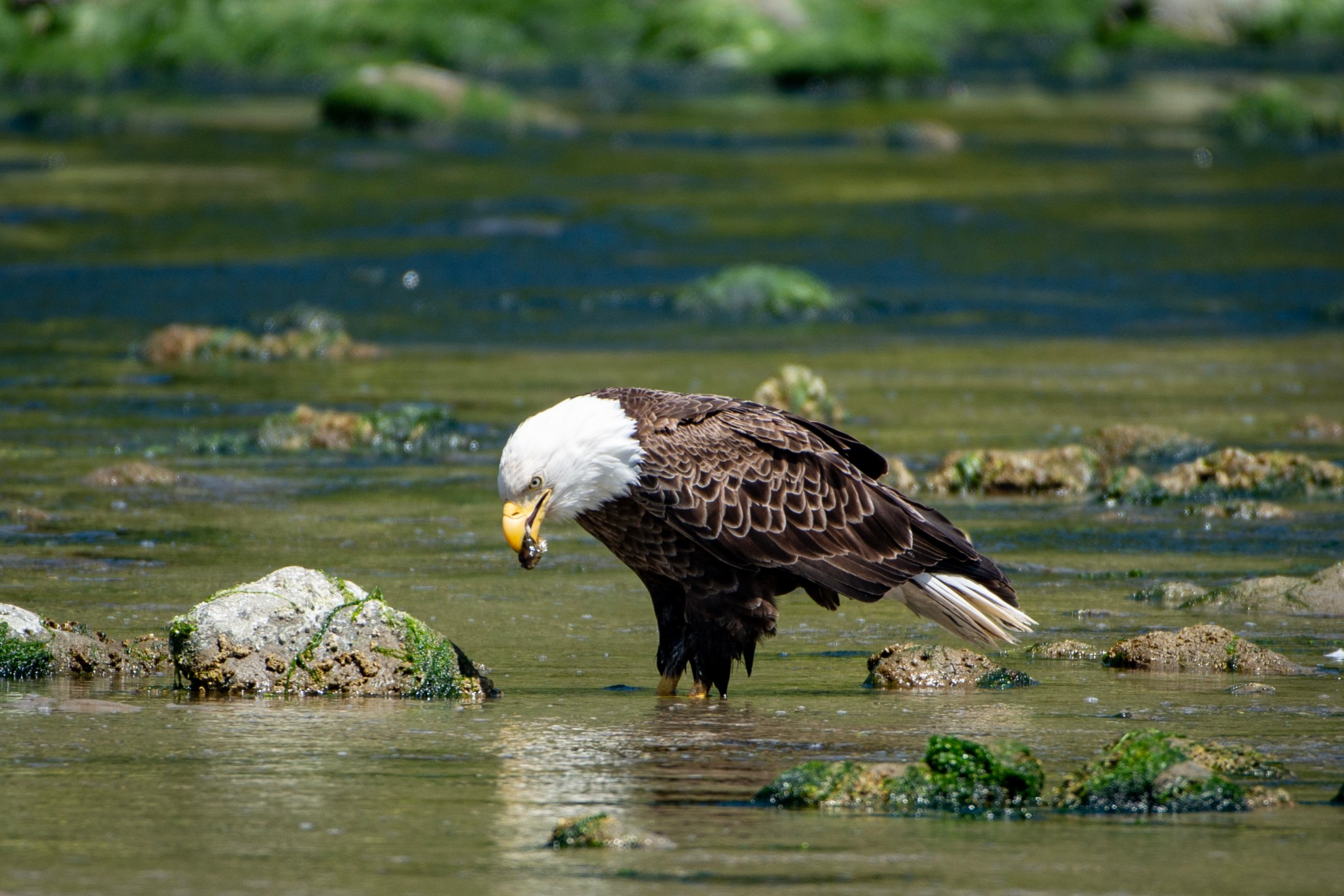 Mike Shaw Photography