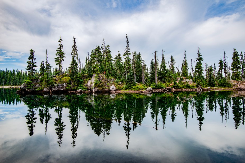 Mike Shaw Photography